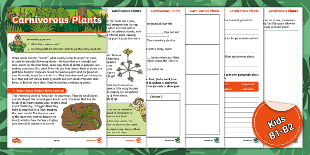 Carnivorous Plants Reading Comprehension [Kids; B1-B2]