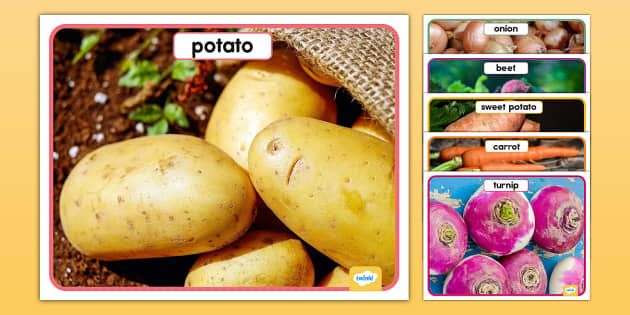 Root Vegetable Photos (teacher made) - Twinkl