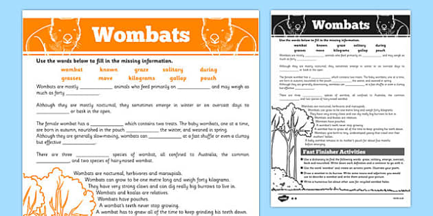 Life Cycle Of A Wombat Differentiated Worksheet Twinkl
