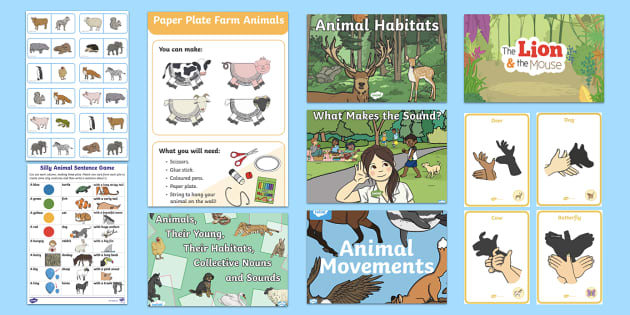FREE! - Kinder 2 Animals Activity Pack - Preschool - Twinkl
