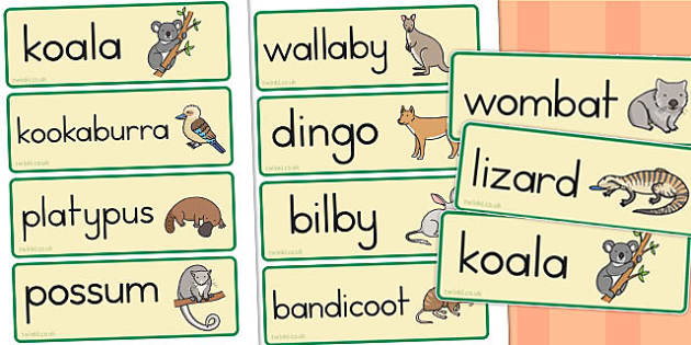 Australian Animal Word Cards - animals, australian animals
