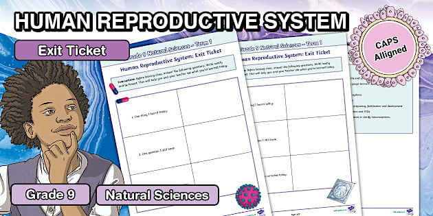 Grade 9 NS Human Reproductive System: Exit Ticket