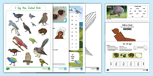 Maths Mystery and More - Native Bird Theme Pack - Twinkl