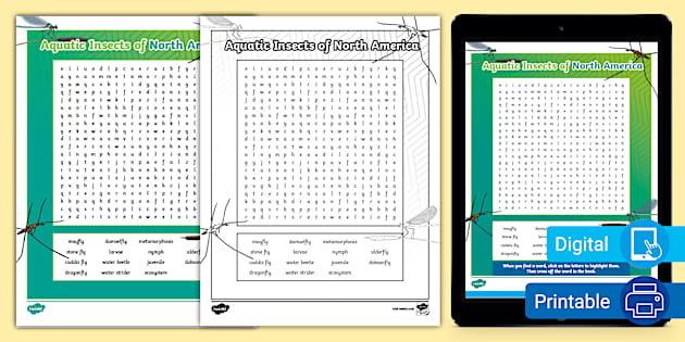 Aquatic Insects of North America Word Search for 6th-8th Grade