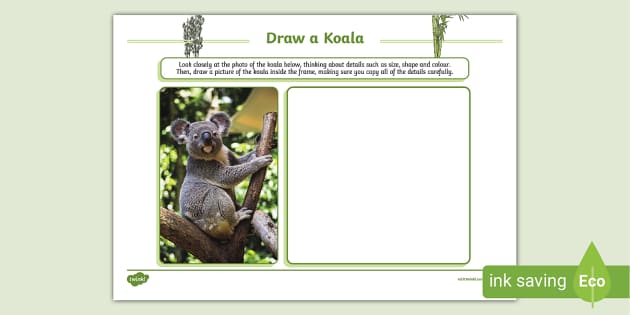 Draw a Koala Art Activity (teacher made) - Twinkl