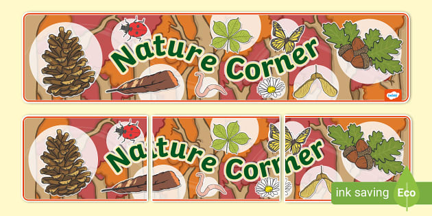 Nature Corner Display Banner - KS1 (teacher made) - Twinkl