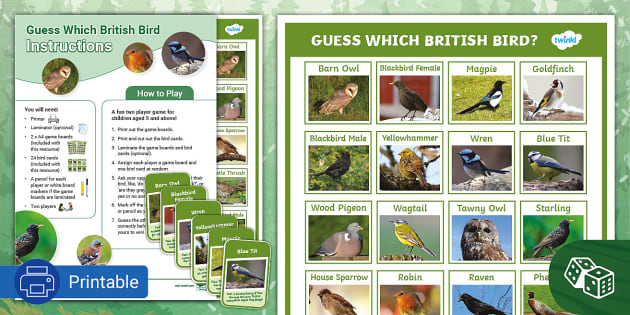 Guess Which British Birds Board Game for Two Players