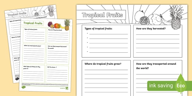 Tropical Fruits Fact File Template (teacher made) - Twinkl