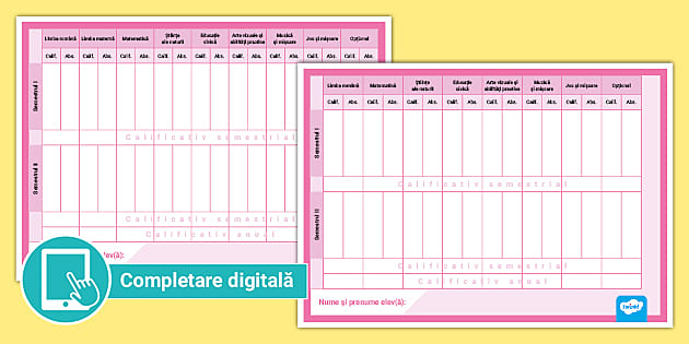 Catalogul învățătorului pentru clasa a III-a – Pagină A4 cu completare