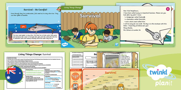 Year 2 Science Living Things Change Lesson 4 - Twinkl