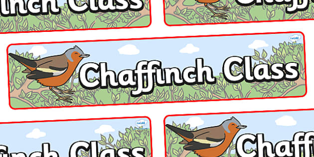 FREE! - Chaffinch Themed Classroom Display Banner - Twinkl FREE! - Chaffinch Themed Classroom Display Banner - Twinkl