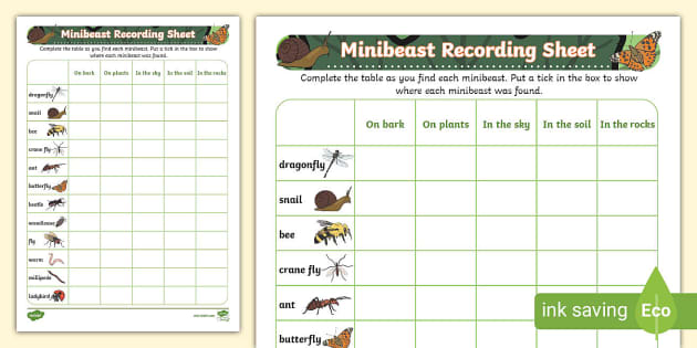 Minibeast Hunt and Location Recording Sheet (teacher made)