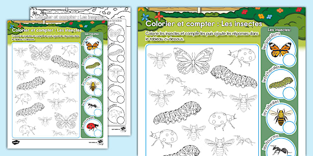 Coloriage insectes à imprimer | Activité de numération