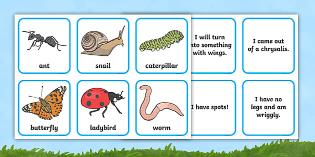 Minibeast Description Cards Matching Activity (teacher made)