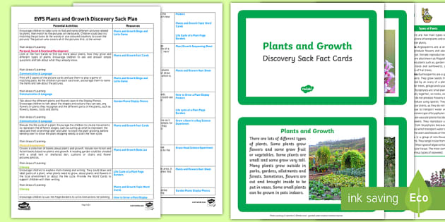 EYFS Plants and Growth Discovery Sack Plan and Resource Pack