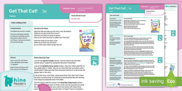 Level 3a Get That Cat!: Teacher Guide (Teacher-Made)