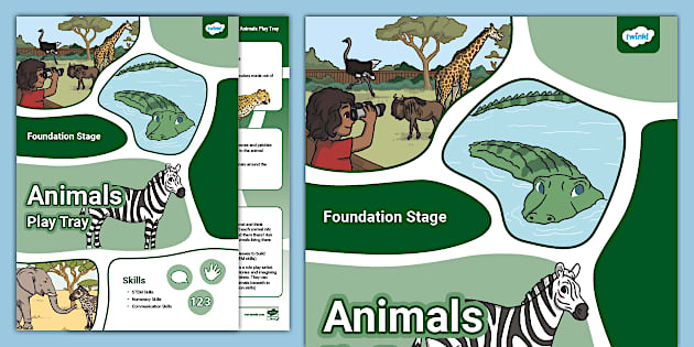NI EYFS Foundation Stage Play Tray: Animals
