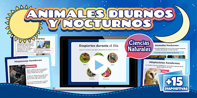 PowerPoint | Animales | Diurnos | Nocturnos | 1° Básico
