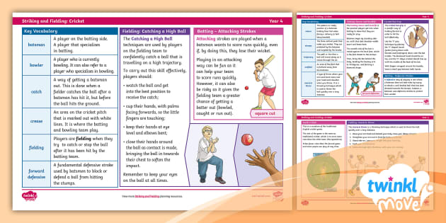Cricket Knowledge Organiser I Year 4 I Twinkl Move PE KS2 Cricket Knowledge Organiser I Year 4 I Twinkl Move PE KS2