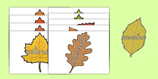 Palabras de otoño en hojas (Hecho por educadores) - Twinkl