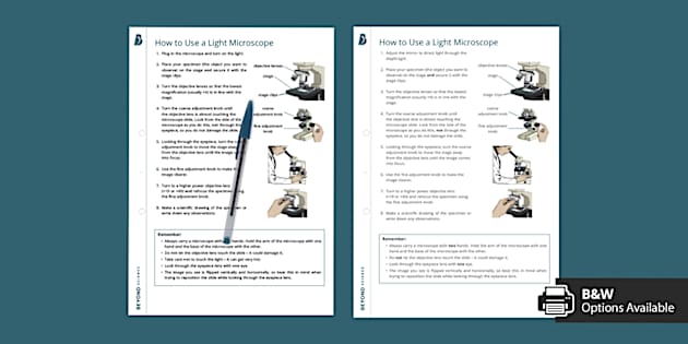 Using a Light Microscope Student Instruction Sheet | Beyond Using a Light Microscope Student Instruction Sheet | Beyond