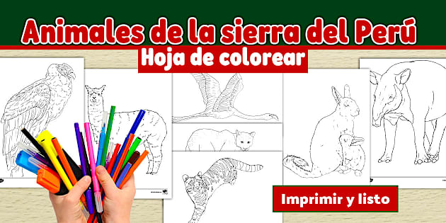 Hoja de colorear: Animales de la sierra del Perú