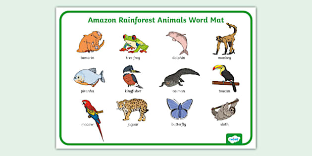 Amazon Rainforest Animals Word Mat | Twinkl (teacher made)