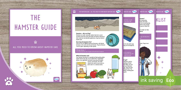 The Ultimate Hamster Handbook - Pet Care Guide - Twinkl Pets