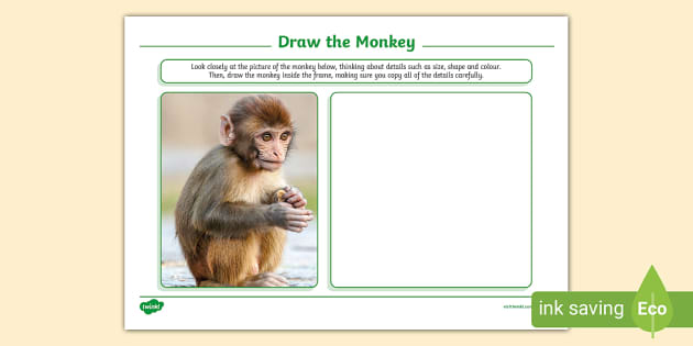 Draw the Monkey Art Activity, Monkey (teacher made) - Twinkl