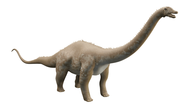 FREE! - Diplodocus Augmented Reality (AR) Quick Look Model Educational