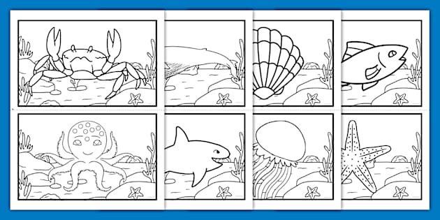 FREE Ocean Animals Coloring Pages (teacher made) - Twinkl