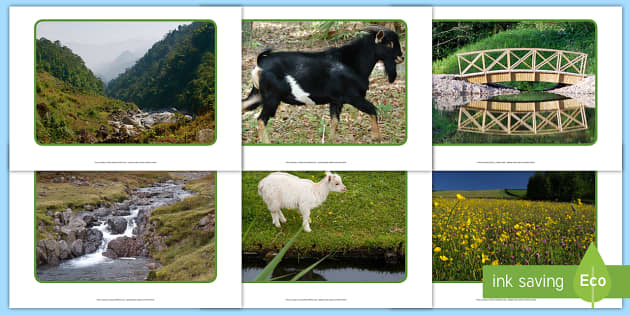 The Three Billy Goats Gruff Display Photos (teacher made)