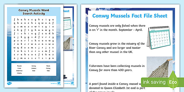 Conwy Mussels Activity Pack – Fishing Practices in Wales