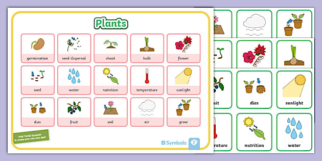 Twinkl Symbols: KS1 Plants Pack (teacher made) - Twinkl