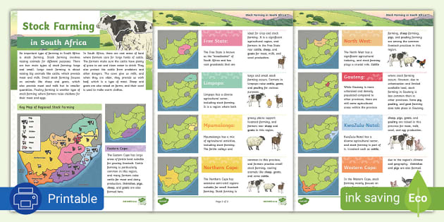 Stock Farming in South Africa (teacher made) - Twinkl