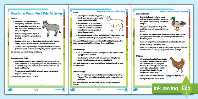 FREE! - Newbarn Farm Fact File Activity (teacher made)