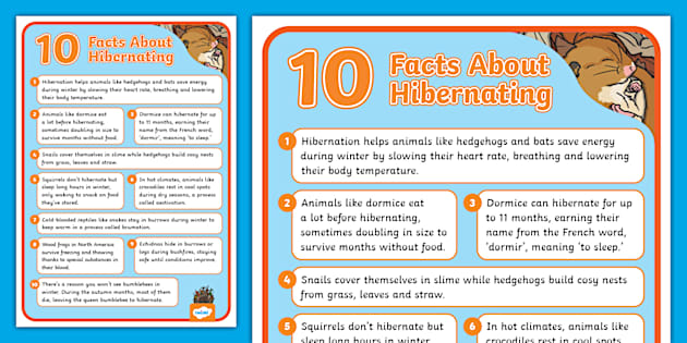 10 Facts About Hibernating Poster 10 Facts About Hibernating Poster