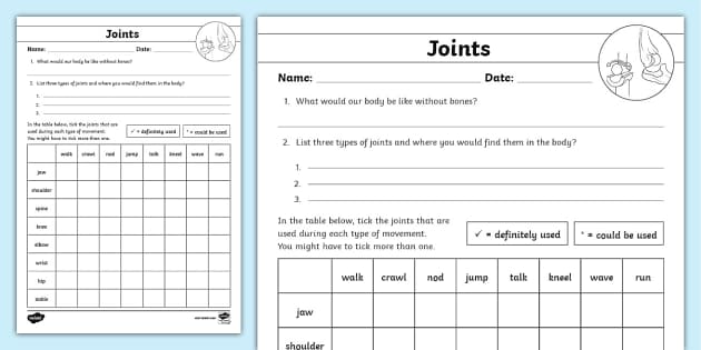 Joints And Their Movements Worksheet Science Worksheet