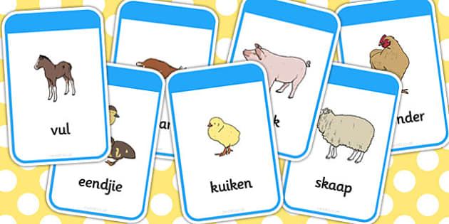 Afrikaans Ma's En Hulle Jong Plaasdiere Flitskaarte - ma en baba diere ...