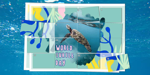 World Turtle Day - Sticker Puzzle (teacher made) - Twinkl