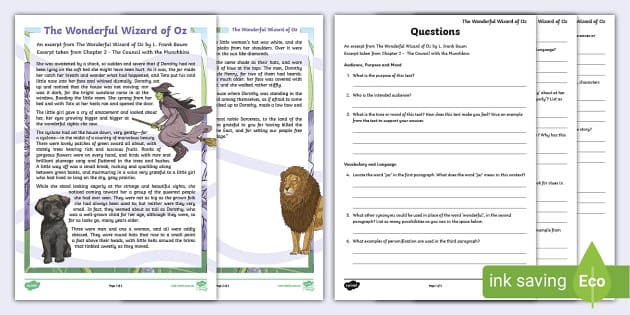Wizard of Oz Reading Comprehension | Primary Resources