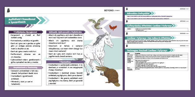 Awgrymiadau Dysgu Symbolaeth Anifeiliaid (teacher made)