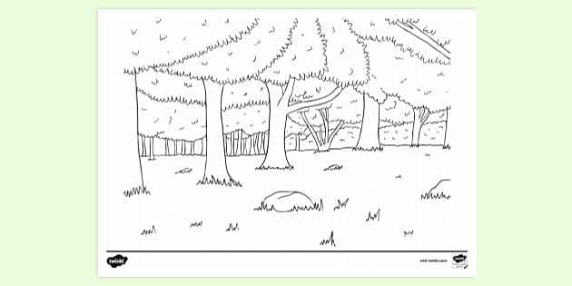 Outdoor Colouring Page for Children - Primary Resources