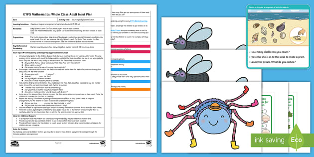 EYFS Maths: Counting Sally Spider's Lunch Whole Class Adult Input Plan and