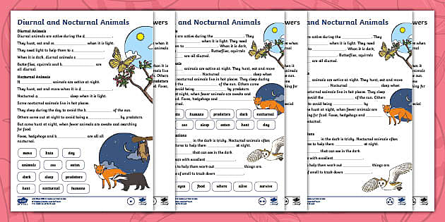 Diurnal and Nocturnal Animals Fill in the Blanks Cloze Activity