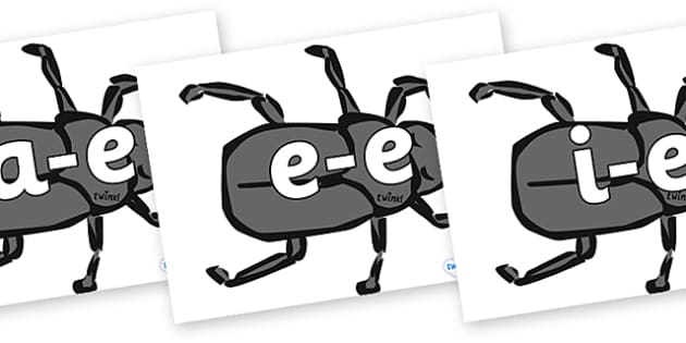 Modifying E Letters on Beetles (teacher made) - Twinkl