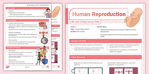 Grade 7 Lesson Plan - Sexual Reproduction in Plants - Twinkl