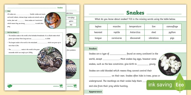 Snakes Cloze Worksheet (teacher made) - Twinkl