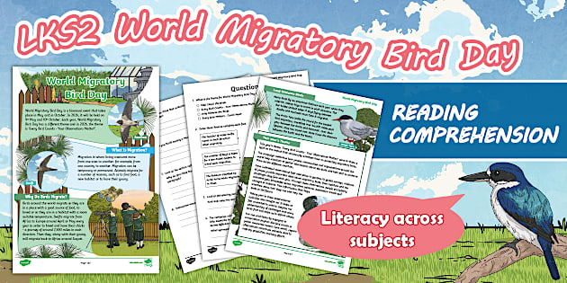 LKS2 World Migratory Bird Day Reading Comprehension