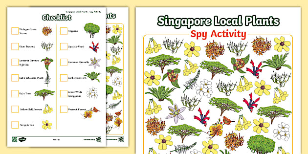 Singapore Local Plants I Spy Activity (Teacher-Made)